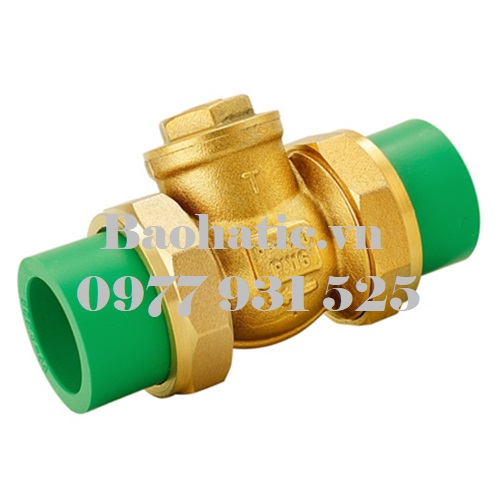 Van 1 chiều đồng rắc co PPR