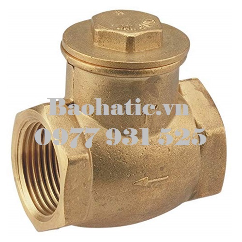 Van ren đồng D100