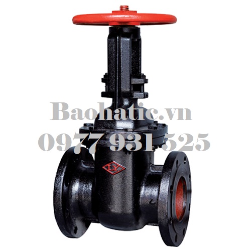 Van xả cặn D100, D150, D200, D250, D300, D350, D400, D450, D500, D600 ...