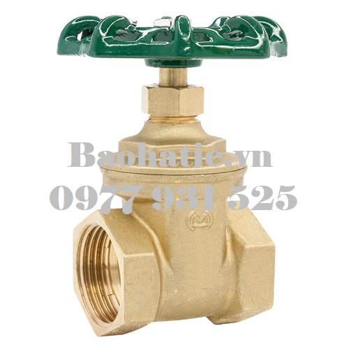 Van ren đồng D100