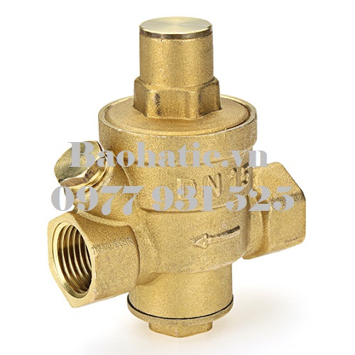 Van giảm áp đồng D40, Van giảm áp đồng Phi 50